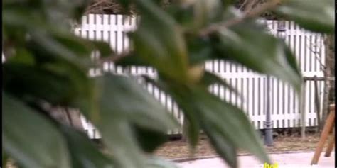 Frustration To Implore The Sex Training