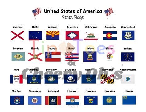 United States Of America State Flags 50 States Us State Flags