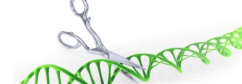 Rare Form Of Infertility Linked To Gene Mutations