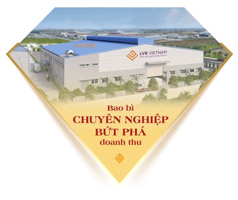 Túi Nilon Là Gì Phân Loại Túi Nilon Bao Nilon Lớn Nhỏ Đủ Size Chất Lượng Tốt Uy Tín