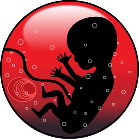 Embyo 6282361 1280 Acssm Soins Infirmier à Domicile