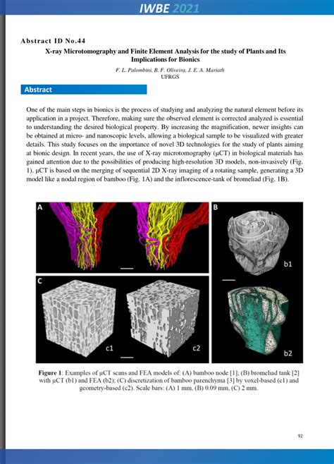 PDF X Ray Microtomography And Finite Element Analysis For The Study Of Plants And Its