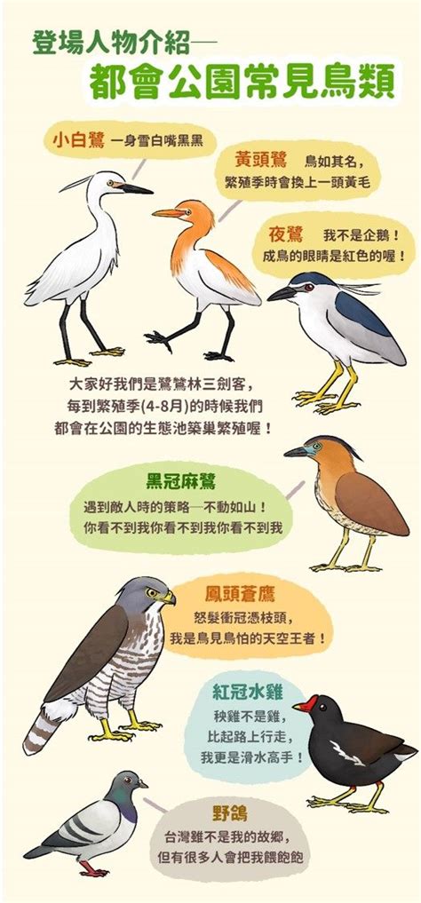 臺北市政府工務局公園路燈工程管理處 新聞稿 餵食不ok 大安森林公園傳授愛鳥撇步 臺北市政府工務局公園路燈工程管理處 新聞稿 餵食不ok 大安森林公園傳授愛鳥撇步