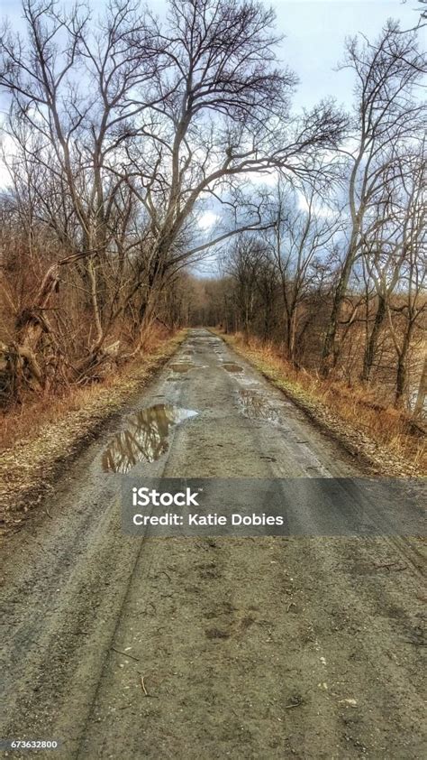 먼지 진흙 투성이의 길 도로 진입로 봄 웅덩이 벌거 벗은 나무 뉴욕 주 0명에 대한 스톡 사진 및 기타 이미지 0명 겨울나무 뉴욕 주 Istock
