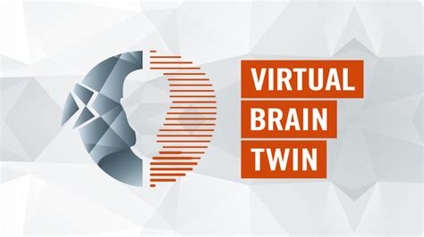 Virtual Brain Twin For Personalized Treatment Of Psychiatric Disorders