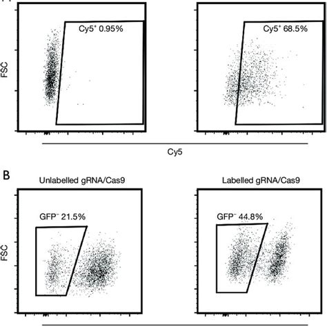 Crisprcas9 Rnp Reveals Higher Viability Ab Electroporated Mv4 11