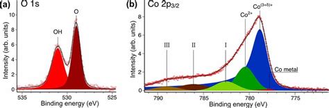 Xps Spectra From A Sample With Approximately 55 Sl Coo2 Coverage Of