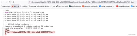 【web】远程命令执行相关例题wpcurl 外带flag Csdn博客