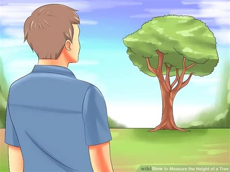 Ways To Measure The Height Of A Tree In The Heights Tree Climbing Equipment Tree Felling