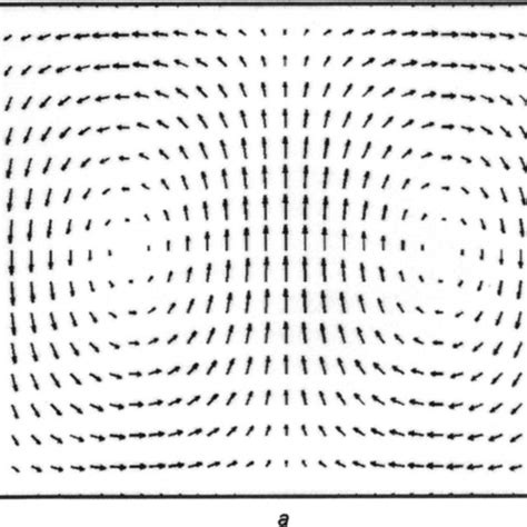 B The Magnetic Field Distribution For A Rectangular Waveguide For