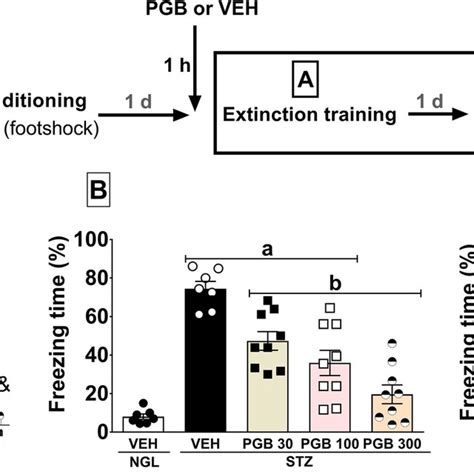 Short And Long Term Effects Of A Single Injection Of Pregabalin Pgb Download Scientific