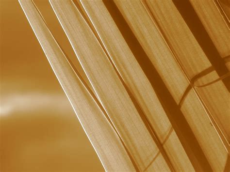 무료 이미지 비행 천장 선 그림자 노랑 이파리 견목 조형 합판 나무 바닥 태양 빛 라미네이트 바닥재 목재 얼룩 3648x2736