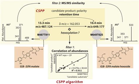 Overview Of The CSPP Algorithm Download Scientific Diagram