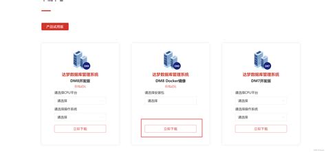 docker安装达梦数据库镜像并初始化实例设置数据库大小写不敏感 达梦设置大小写不敏感 csdn博客