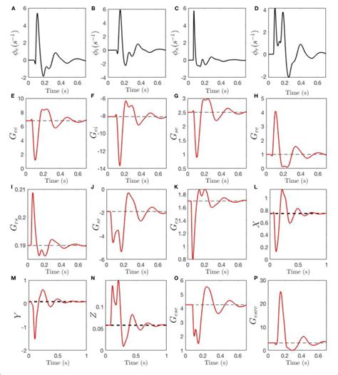 Temporal Dynamics Of Corticothalamic Gains During An Erp Event The Download Scientific