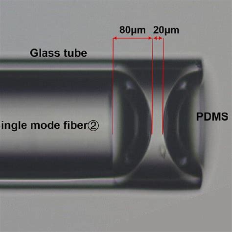 Sensor Structure Diagram Download Scientific Diagram