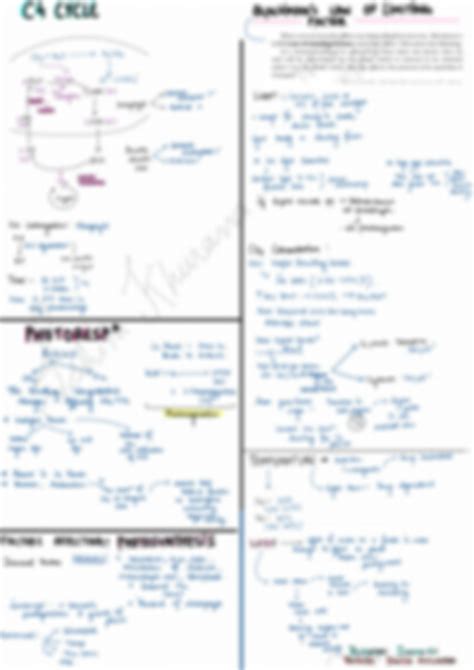 Solution Photosynthesis Light Reaction Flowchart Mindmaps Detailed Notes [ Topper Premium