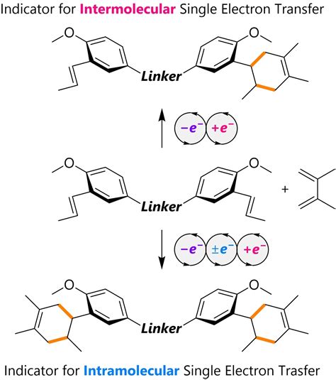 Probing Electron Transfer Events In Radical Cation Cycloadditions