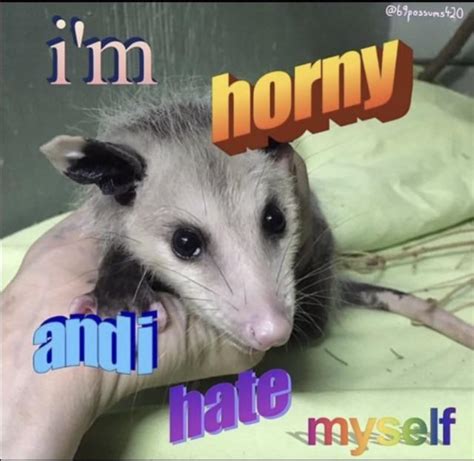 The Sex Repulsed Aces Who Have A High Libido R Aaaaaaacccccccce