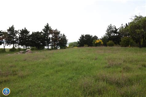 ფინანსთა ფინანსთა სამინისტროს საგამოძიებო სამსახური