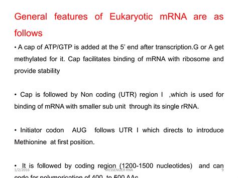 Structure And Function Of Messenger Rna Mrna Pptx