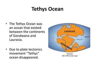 Origin Of Ocean Basins Pptx