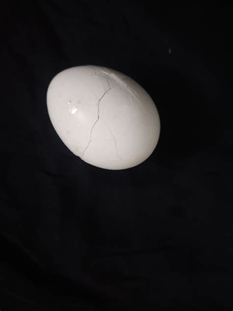 Egg Crack Detection Object Detection Model By DigiTMG