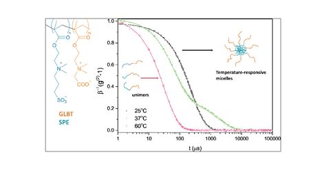 Temperature Responsive Behavior Of Double Hydrophilic Carboxy Sulfobetaine Block Copolymers And