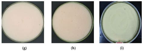 Solid Materials Converted From The PCL With Different Proportions Of RD Download Scientific