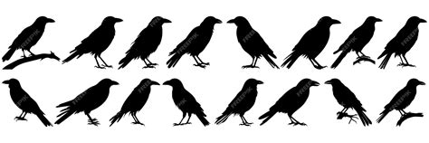 Premium Vector Raven Crow Halloween Silhouettes Set Large Pack Of