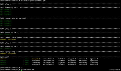Ansible —— 测试题ansible 笔试 Csdn博客