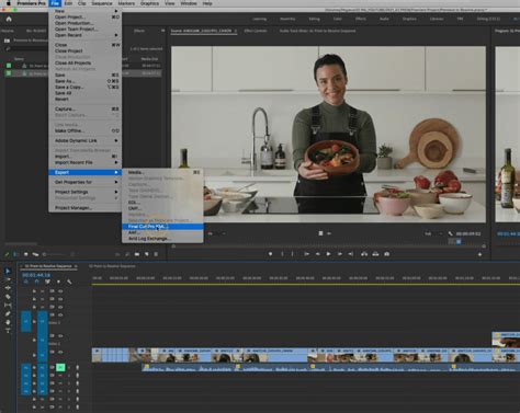Move Premiere Pro Timeline To Davinci Resolve Xml Workflow