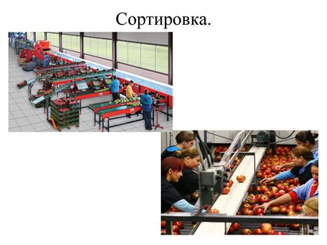 Технология приготовления блюд из овощей и фруктов презентация онлайн