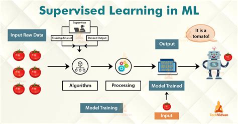 Supervised Learning Algorithms Printable