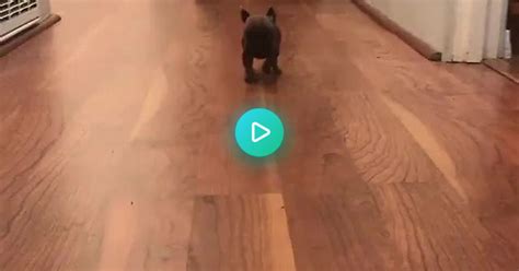 Here I Iz Album On Imgur