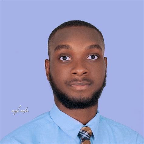 Amedu David Data Specialist Unihive Africa Linkedin