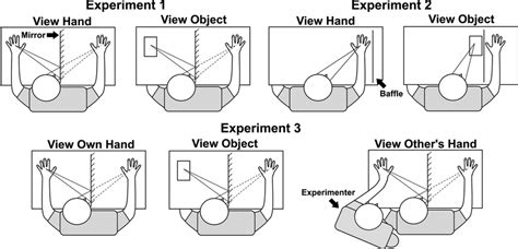Schematic Depiction Of Experimental Setups Apparent Line Of Sight Download Scientific Diagram
