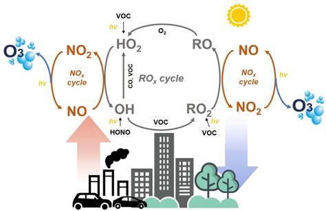 Ozone Cycle Ozone Cycle