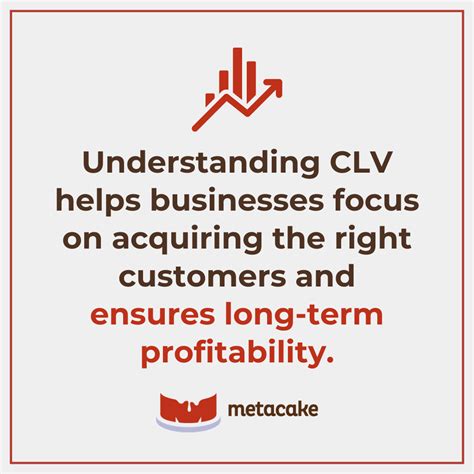 The Ins And Outs Of Average Customer Lifetime Value What You Need To Know Metacake