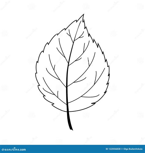 Шаблон листьев березы для вырезания Раскраска для детей березовые и дубовые листья Шаблоны