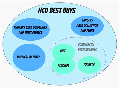 Conceptual Analytic Framework Developed To Guide Analysis And