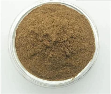 Bermuda Grass Extract Packaging Size 1 Kg At ₹ 500kg In Indore Id