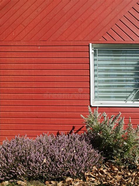 Close Up Of A Wood Cladding Of A Building Stock Image Image Of Exterior Wall 262856791