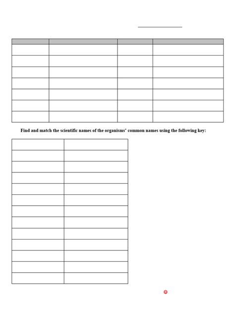 Dichotomous Key Lab Earths Group 1 Pdf