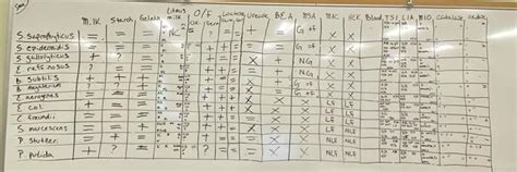 I Need Help Setting Up A Simple Tree Branch Diagram