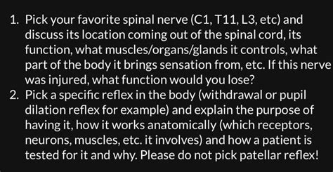 Pick Your Favorite Spinal Nerve C1 T11 L3 Etc