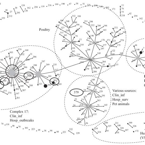 eburst clustering of 10 mlst profiles each indicated by an open