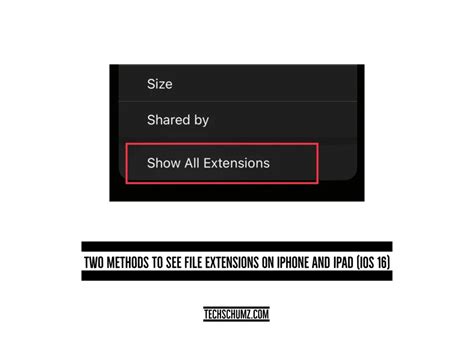 Two Methods To See File Extensions On Iphone And Ipad Ios 16 Techschumz
