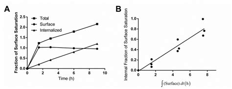 4 Example Of Internalization Rate Constant K E Fit A