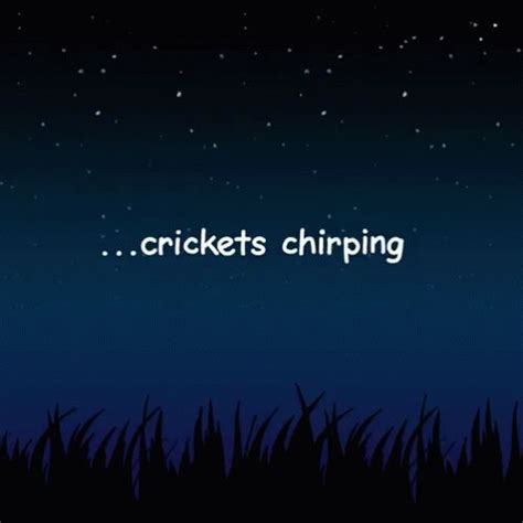 Crickets Chirping  Night Crickets